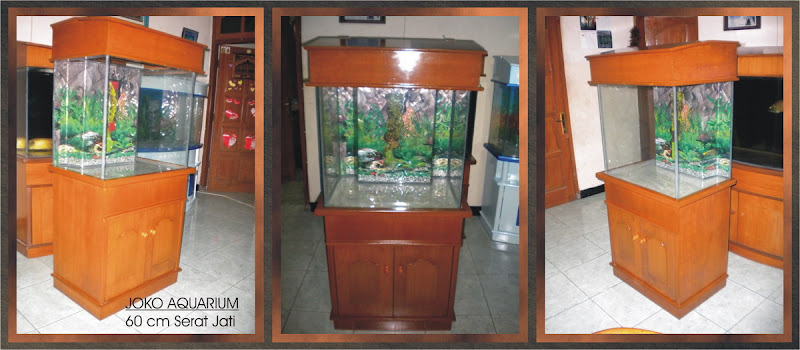 Joko Aquarium Solo: Lapis Jati 60Cm Kotak Biologis (Tanpa Kuras) Air ...